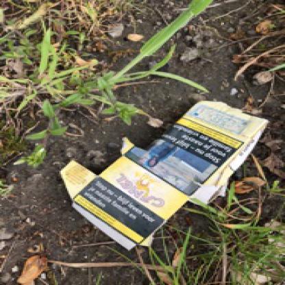 Trash detector Object Detection Model by Studio Boson