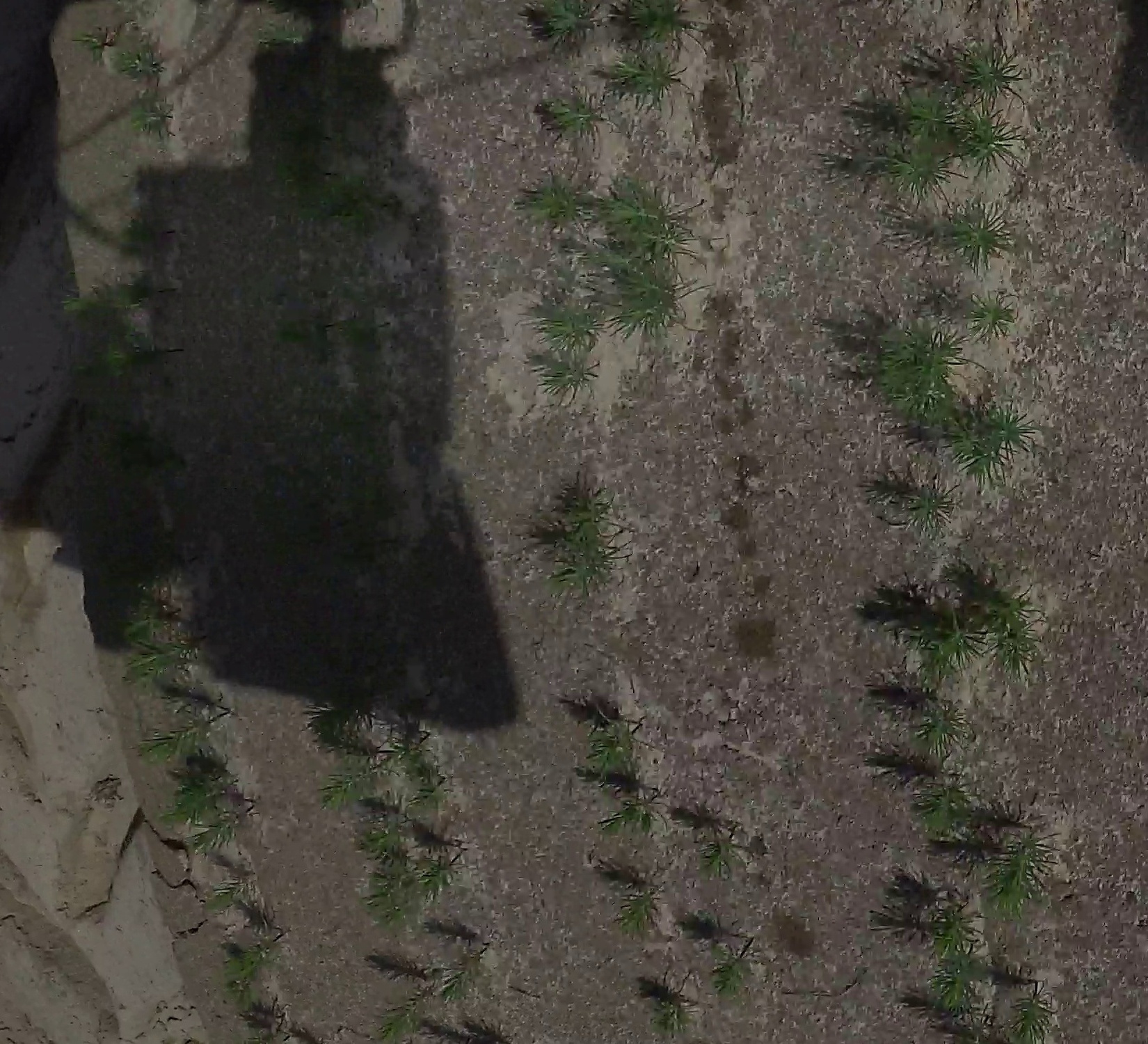 shell Object Detection Dataset by cv2