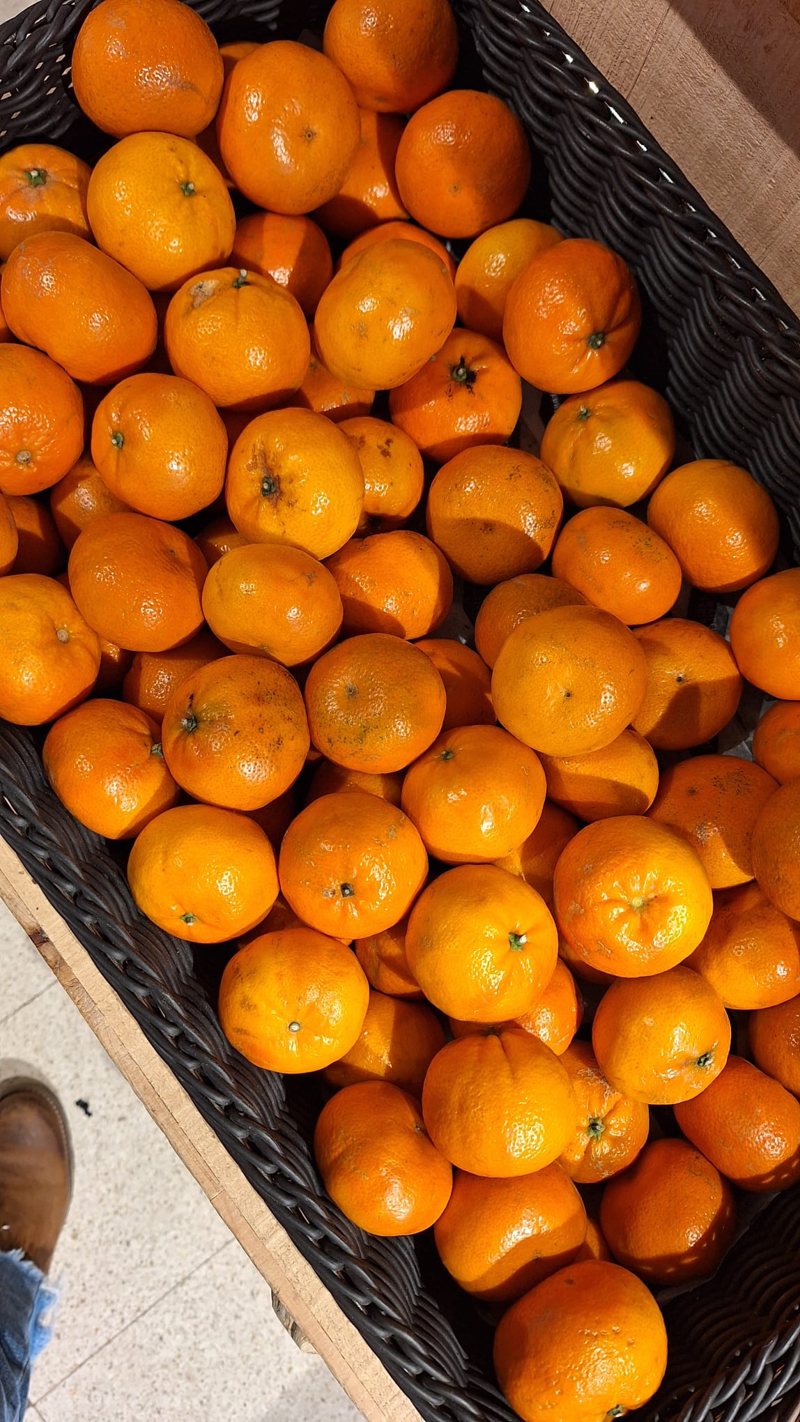 Ironhack (ironhack-bsexe) - Roboflow Universe