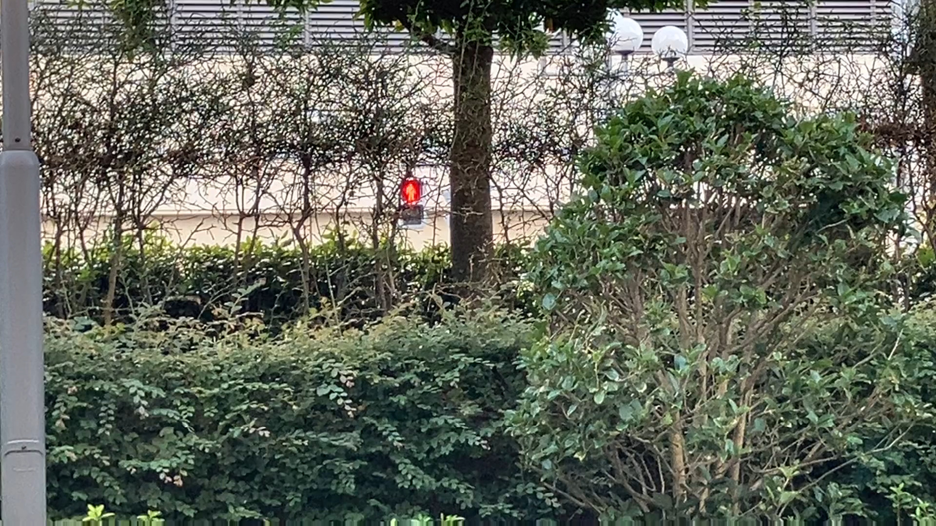 traffic light Object Detection Dataset and Pre-Trained Model by ballcllect