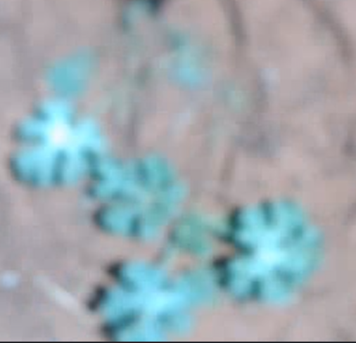 boolean_model Object Detection Dataset and Pre-Trained Model by ...