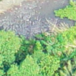 coconut Object Detection Dataset by Bootcamp