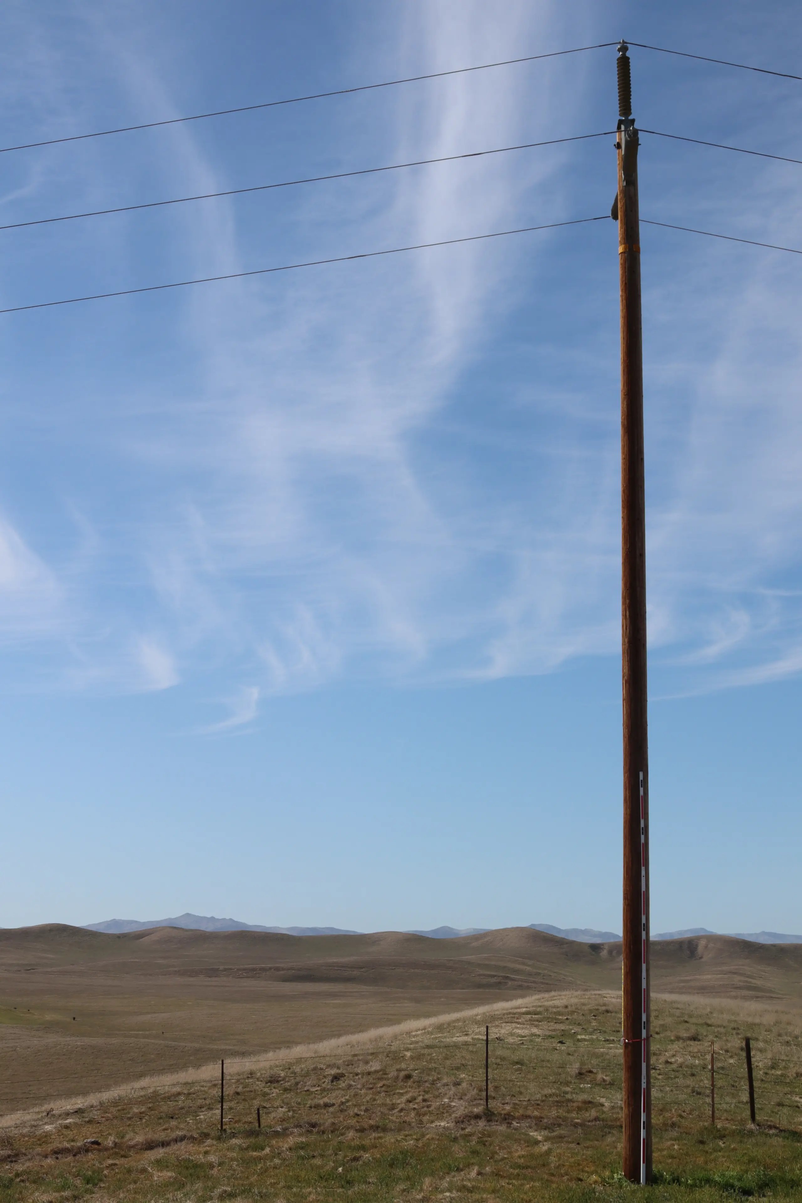 Yolov8 Detection Object Detection Dataset And Pre Trained Model By Jairo