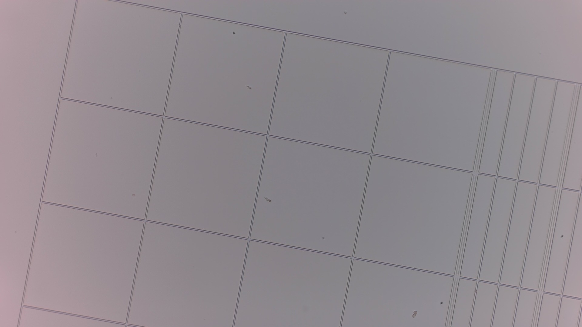 Yeast Measurement Dataset Object Detection Dataset By Ehgus2u