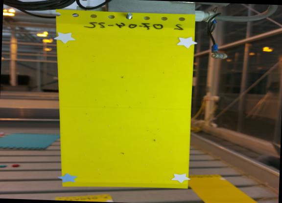 Insects Detection 2 Object Detection Dataset By Yolo Training Model