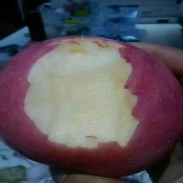 damaged apple Object Detection Dataset and Pre-Trained Model by internship1