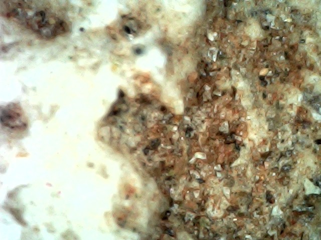 Microscopic rocks Object Detection Model by microscopic imagedataset