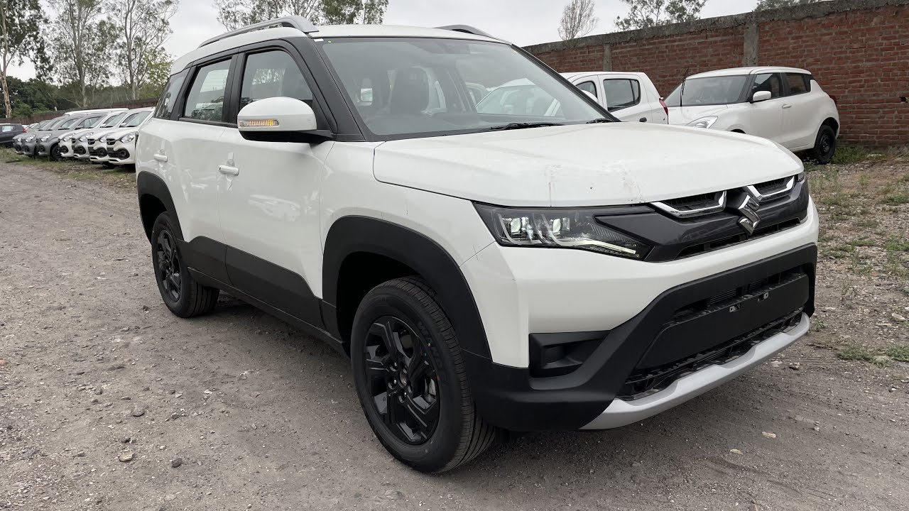 Car Make and Model Identification - Instance (1) Instance Segmentation Dataset by IEEE