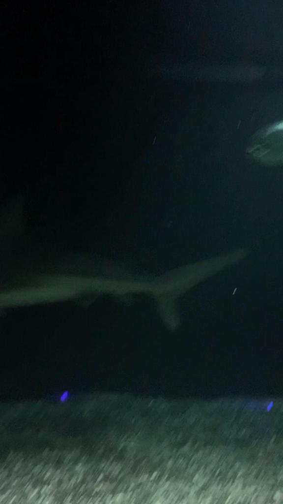 Vision Task (vision-task-iqir4) - Roboflow Universe