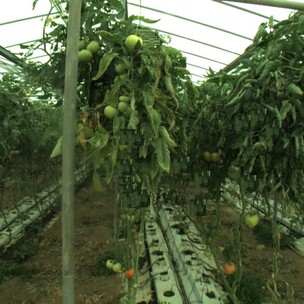 Tomato Detection Object Detection Dataset by Tomato