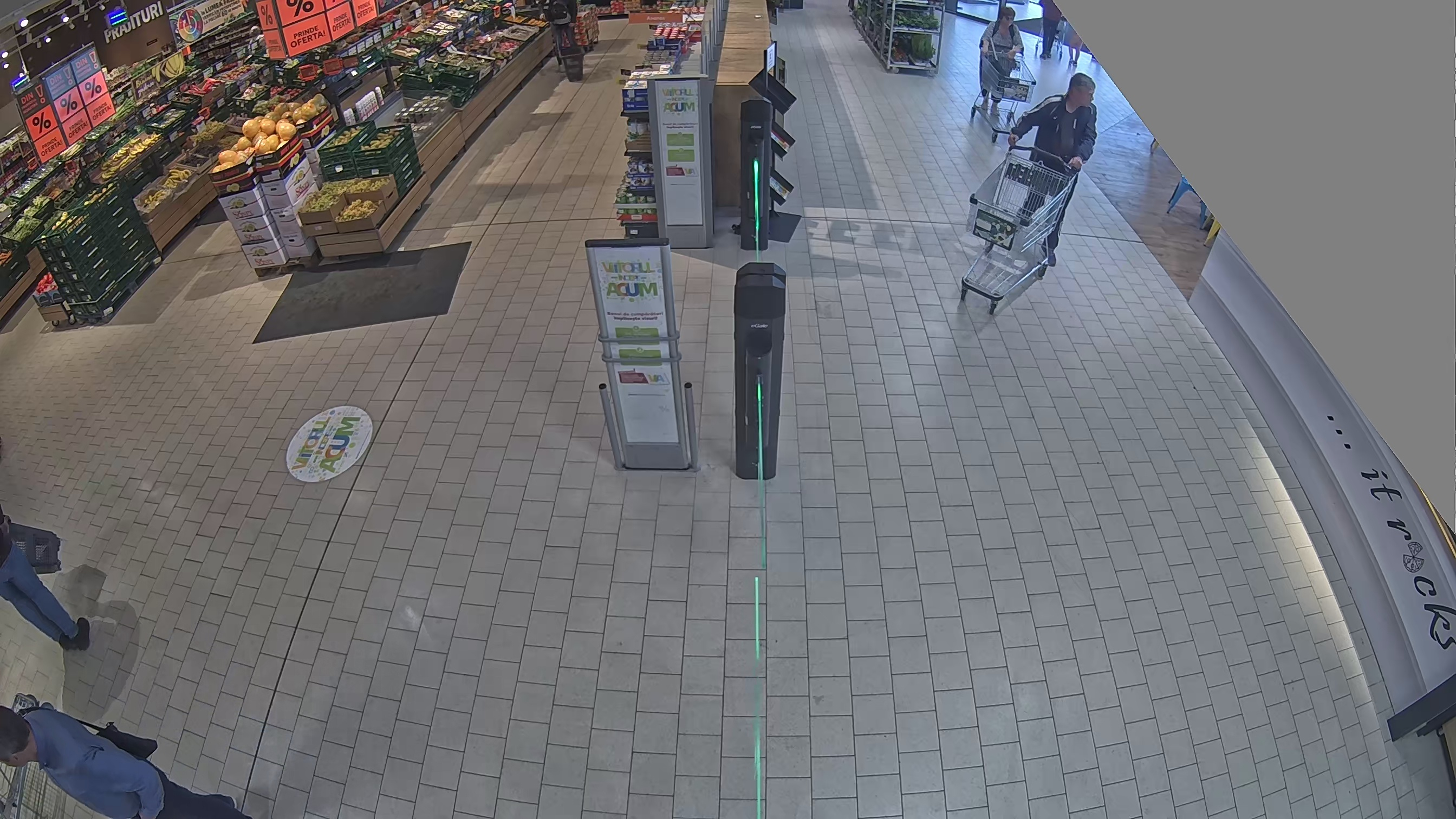Cart detection project Object Detection Dataset by Peoly