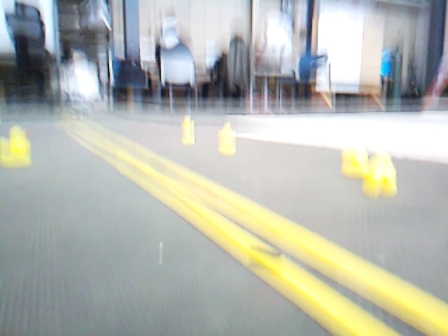 Duck Object Detection Dataset And Pre Trained Model By Cse360