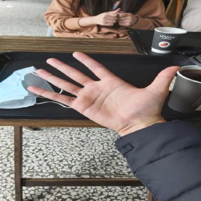 hand detection Object Detection Model by qtworkspace