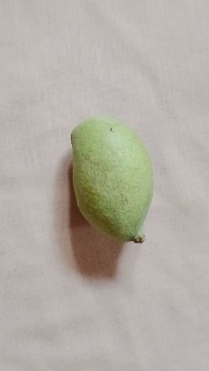 Object Detection Object Detection Dataset And Pre Trained Model By Dataset