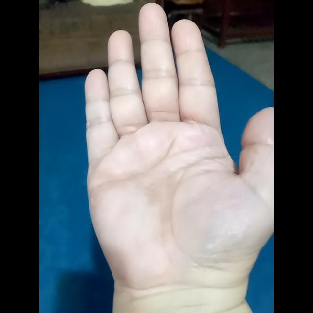 How to Use the Palmistry Object Detection API