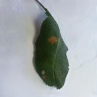 MIC Ltd - Roboflow Universe