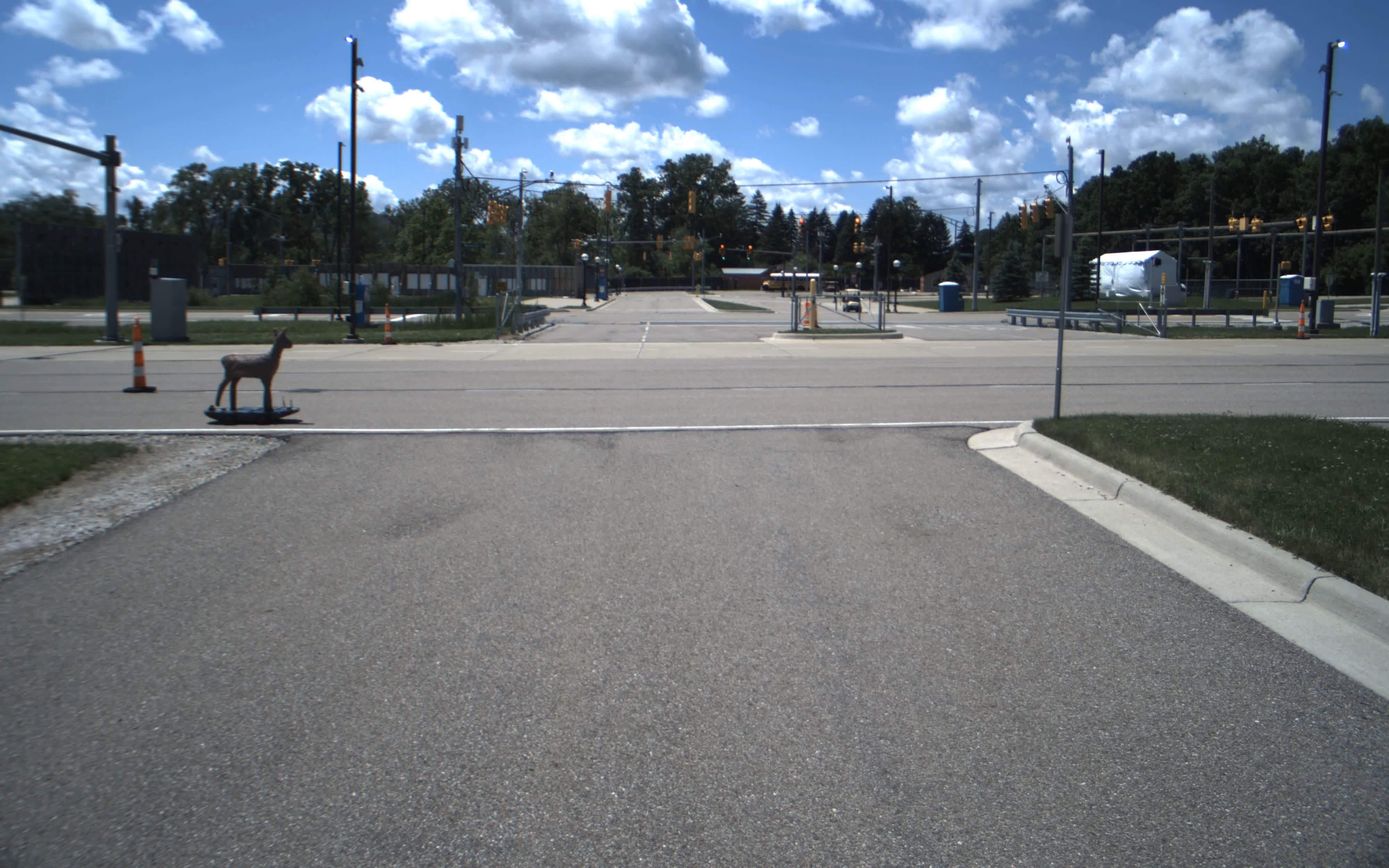 Deer Object Detection Dataset by Aidan Dyer