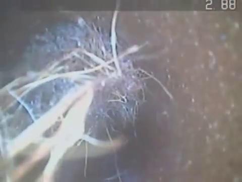 Sewer Object Detection Dataset by lgjgk