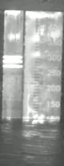 Water_Measurement 2 Instance Segmentation Dataset and Pre-Trained Model by Magang