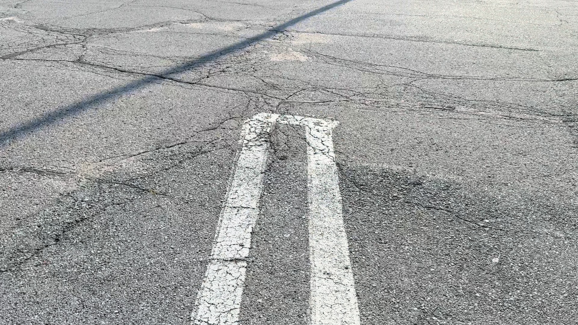 Line Striping Instance Segmentation Model by Aidens Workspace