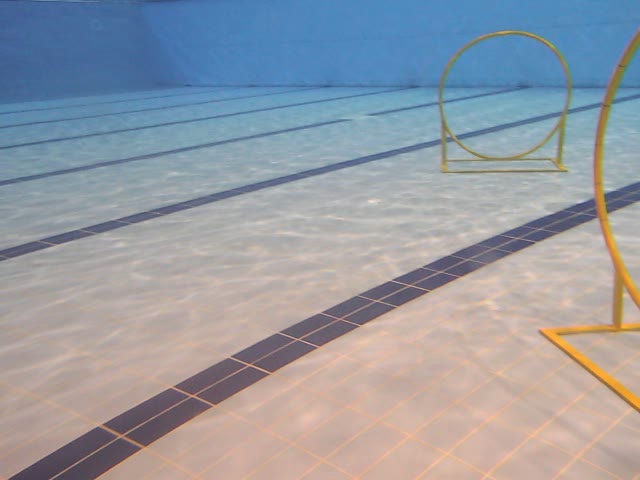 fad Object Detection Model by doga