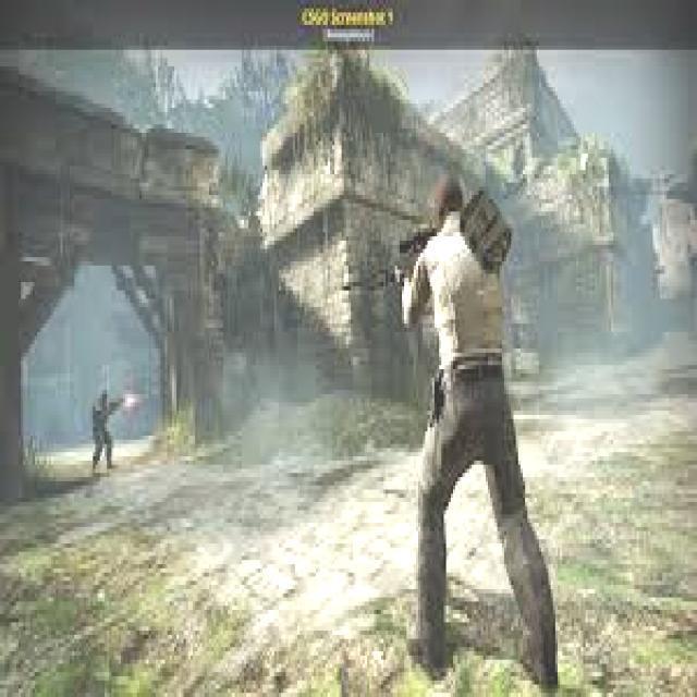 newCS2_head Object Detection Dataset by Alchemist