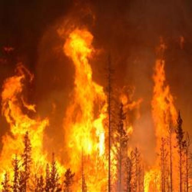 Fire Detection Object Detection Model By Krima Ahmed