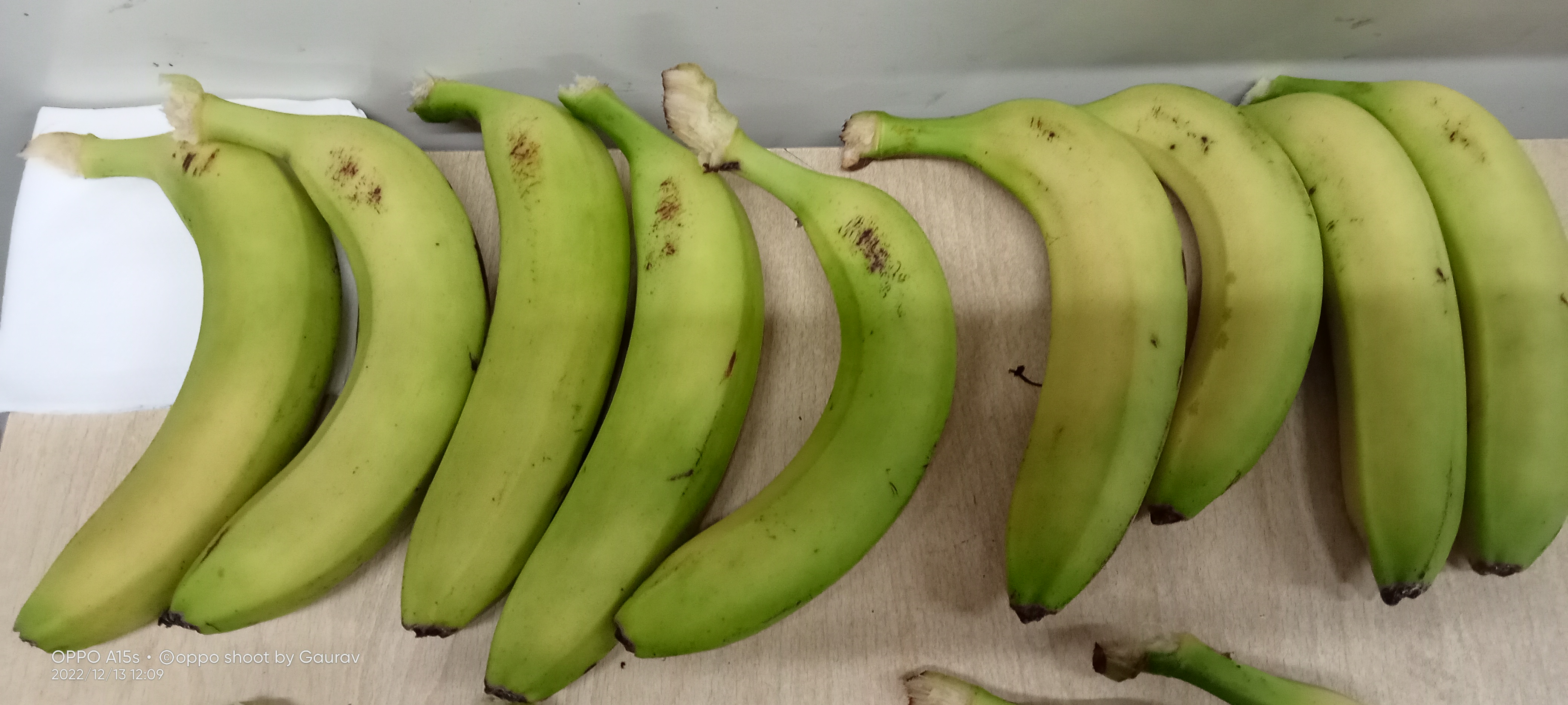 banana_stage4 Classification Dataset by Sumit