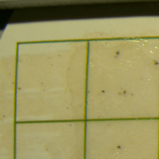 2_CITRICOS_R1_PLA_CI Object Detection Dataset by QuimicaMasso