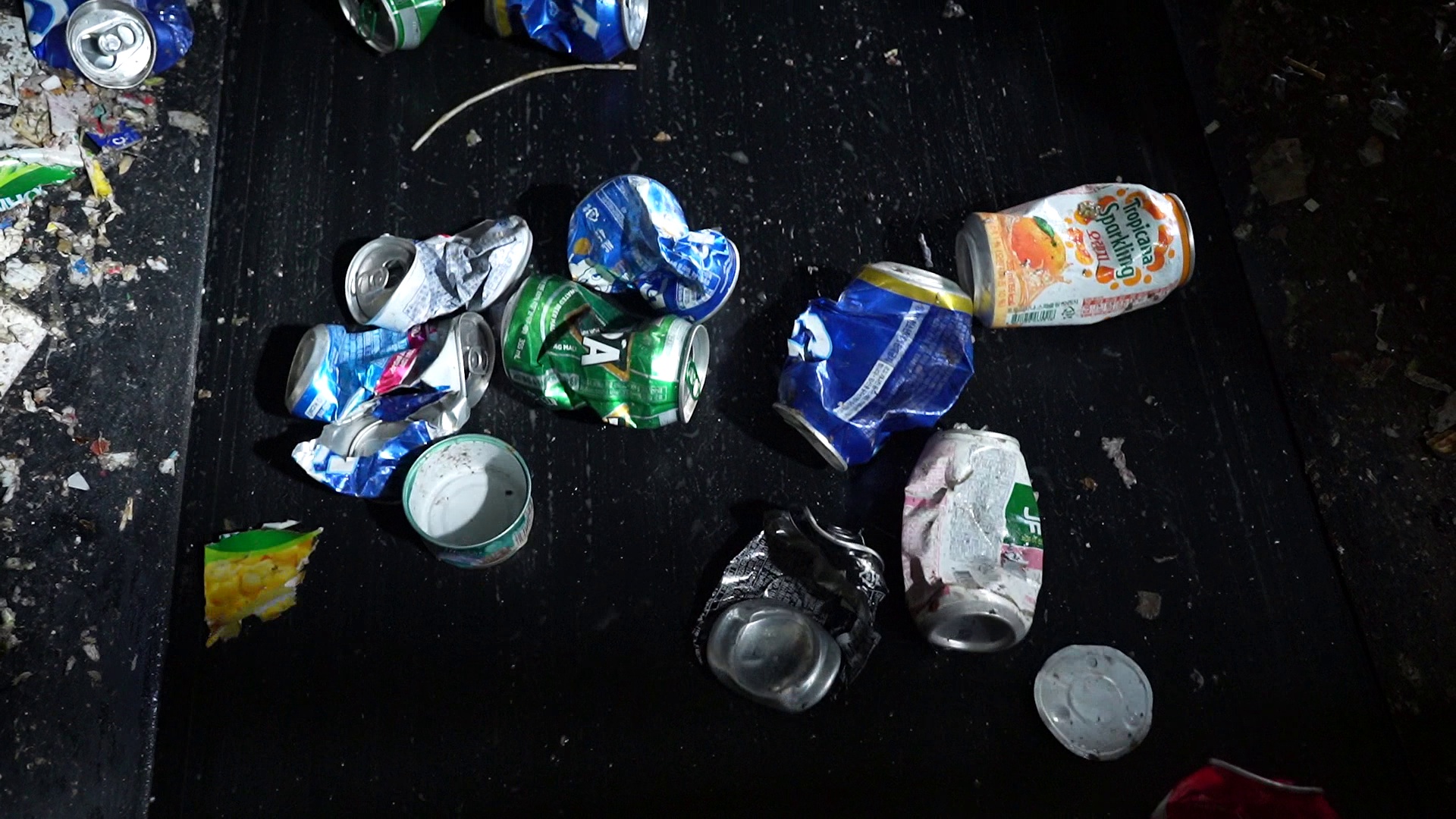 8 color bird - Waste Detection Object Detection Dataset by Waste Detection OSS prj