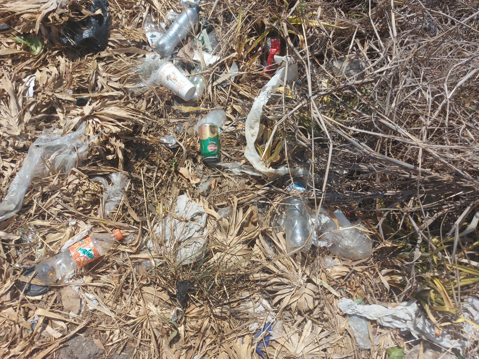 Riotgames Object Detection Dataset And Pre Trained Model By Fase 1 Parte 3