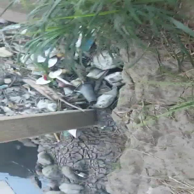 Parte 3 Object Detection Dataset And Pre Trained Model By Fase 1 Parte 3