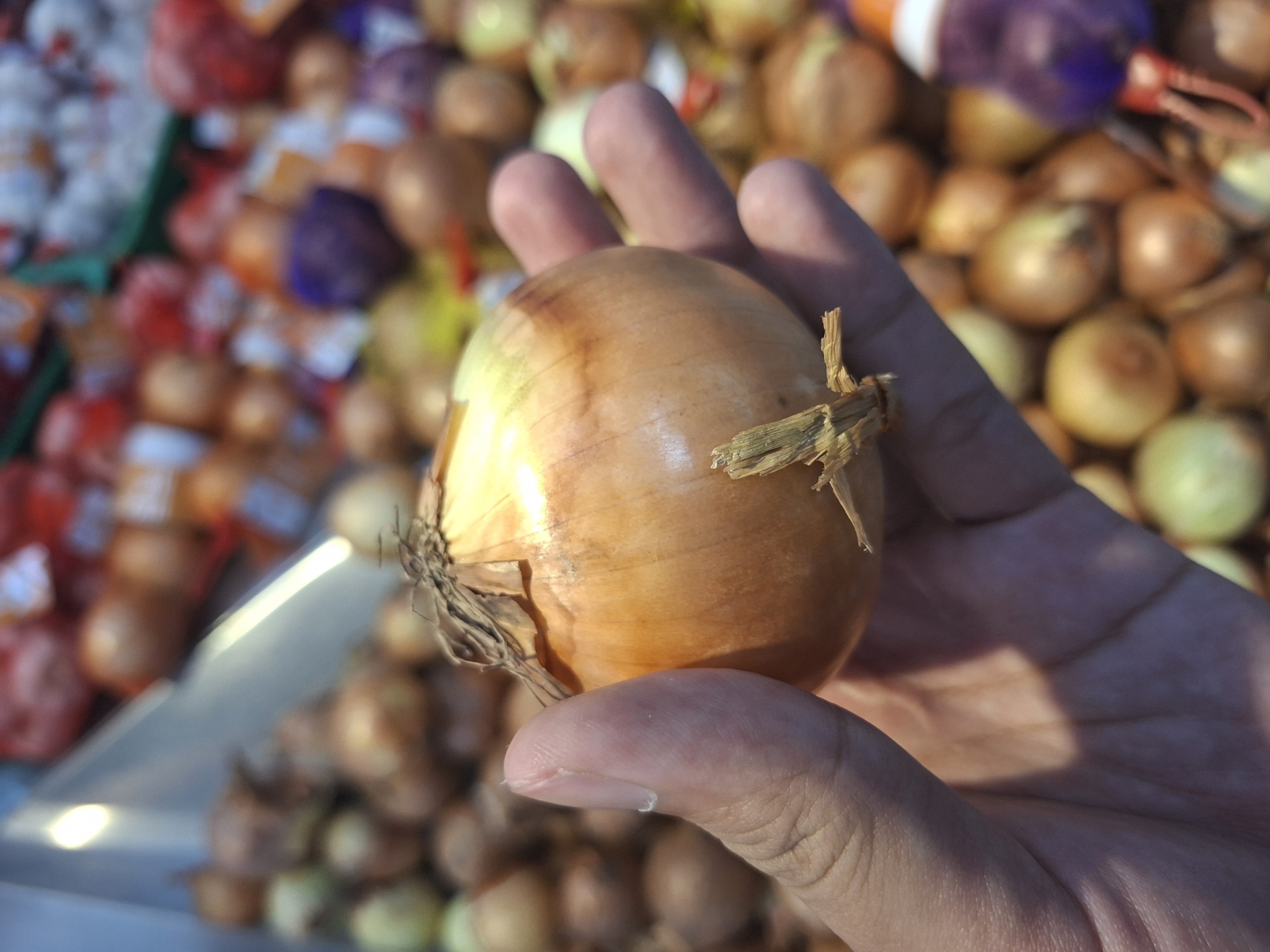 avds-ppb-bismillah Object Detection Dataset and Pre-Trained Model by ppb2