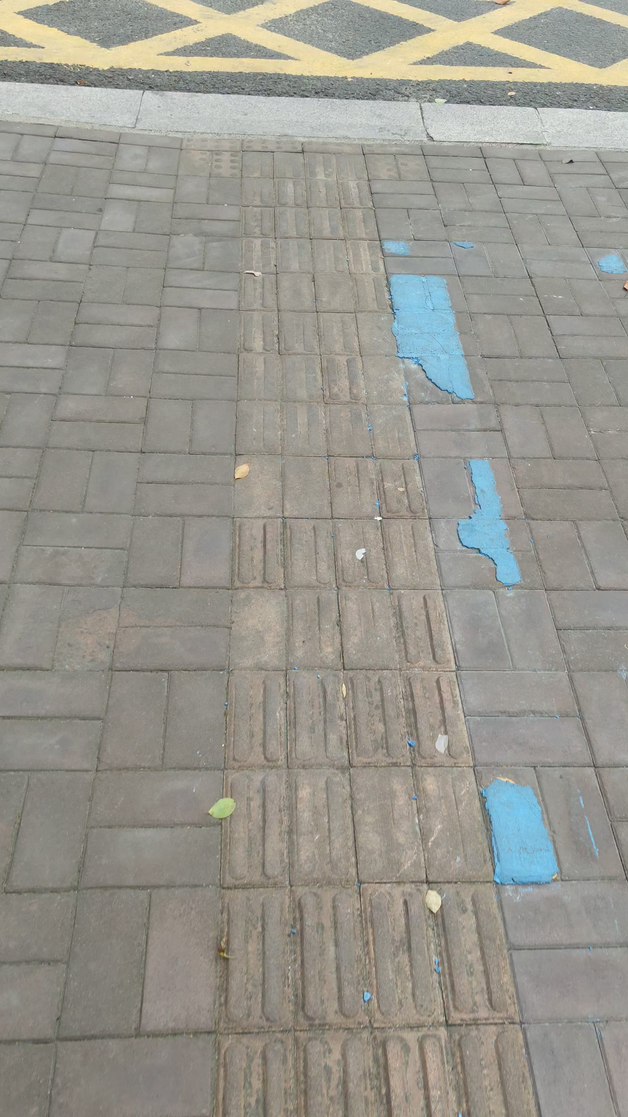 SW Semantic Segmentation Dataset by 01