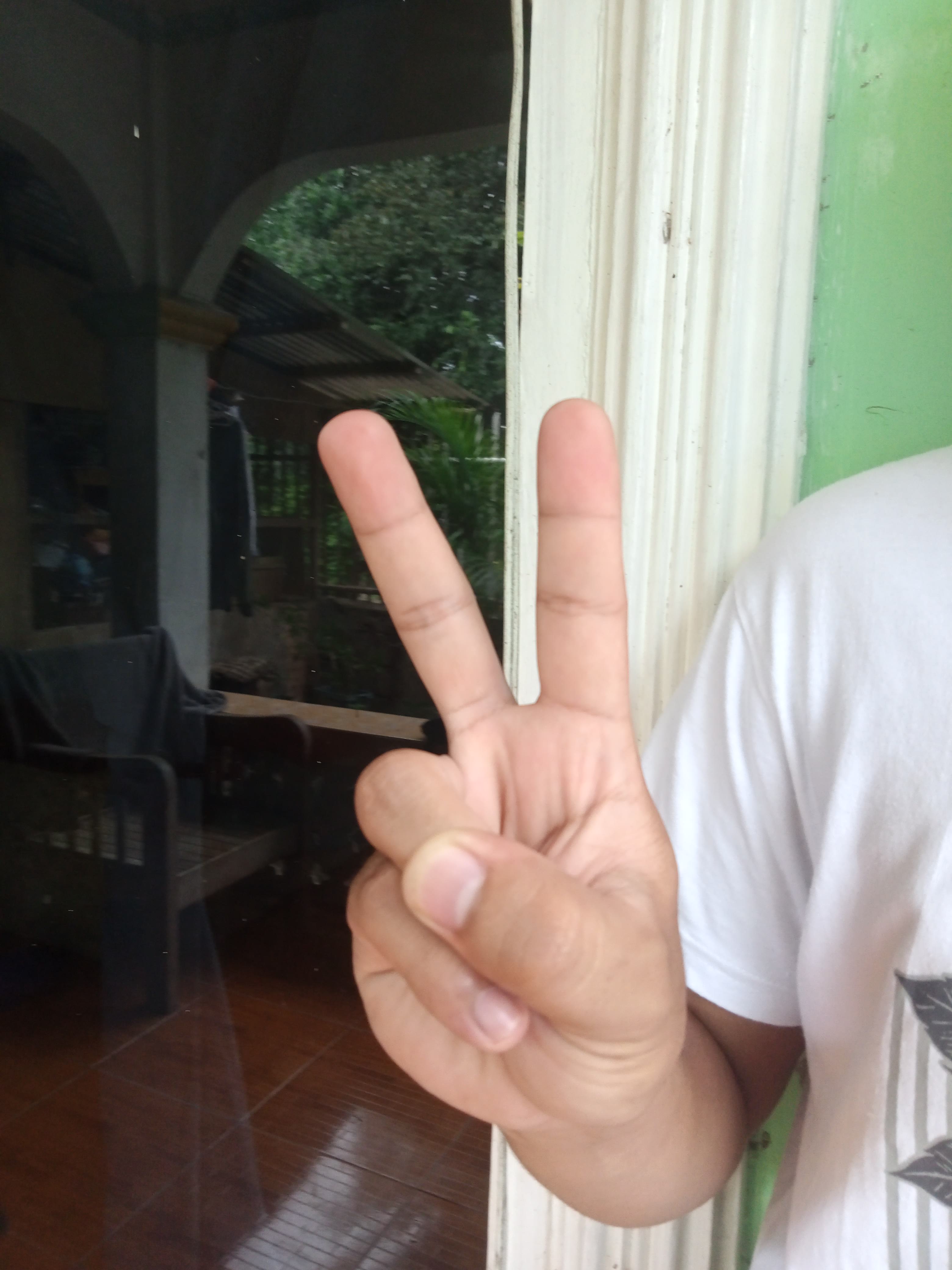 Stationary Sign Language Object Detection Model by Cj Santos