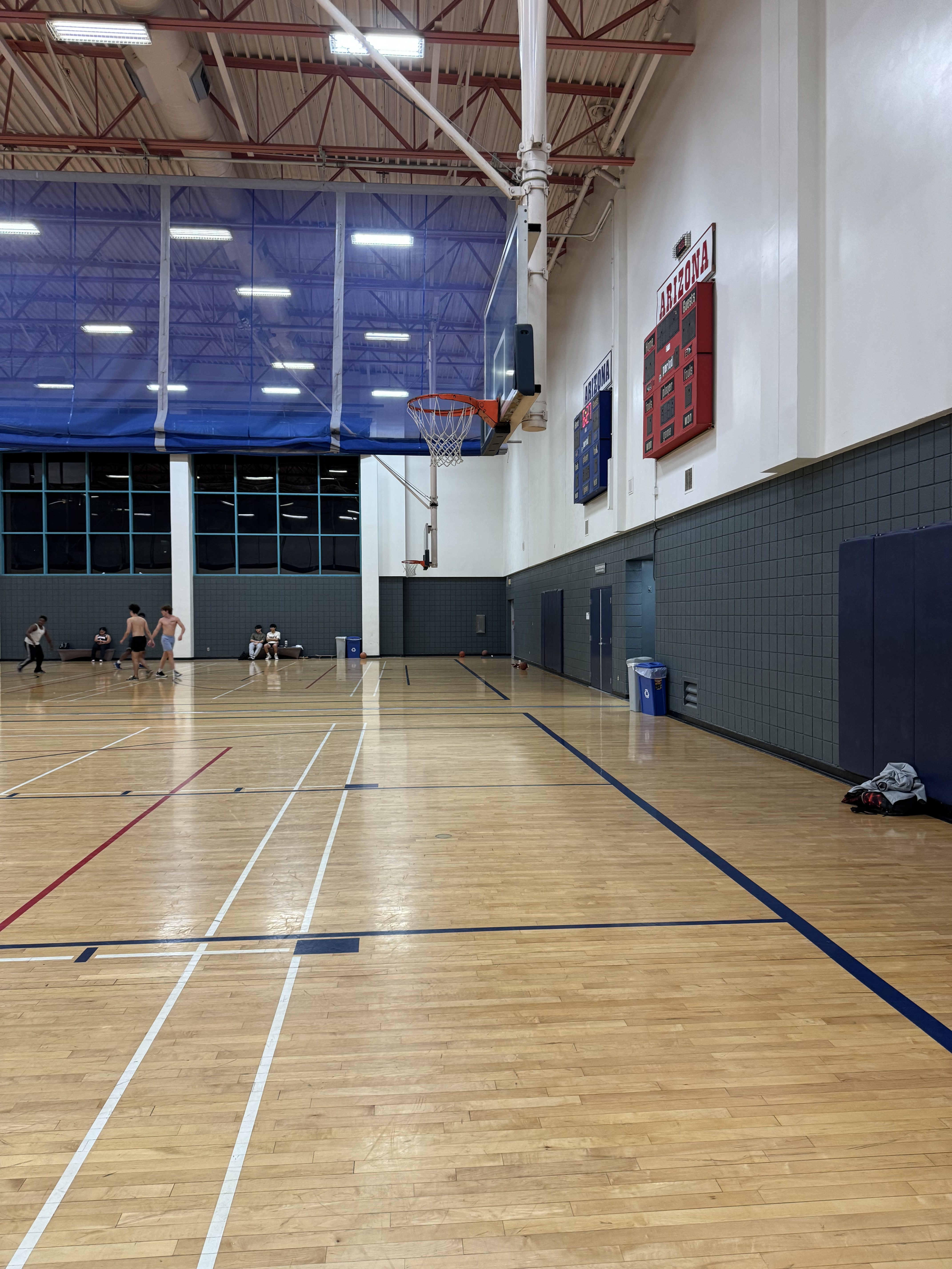 Hoopster Instance Segmentation Dataset by Hoopster