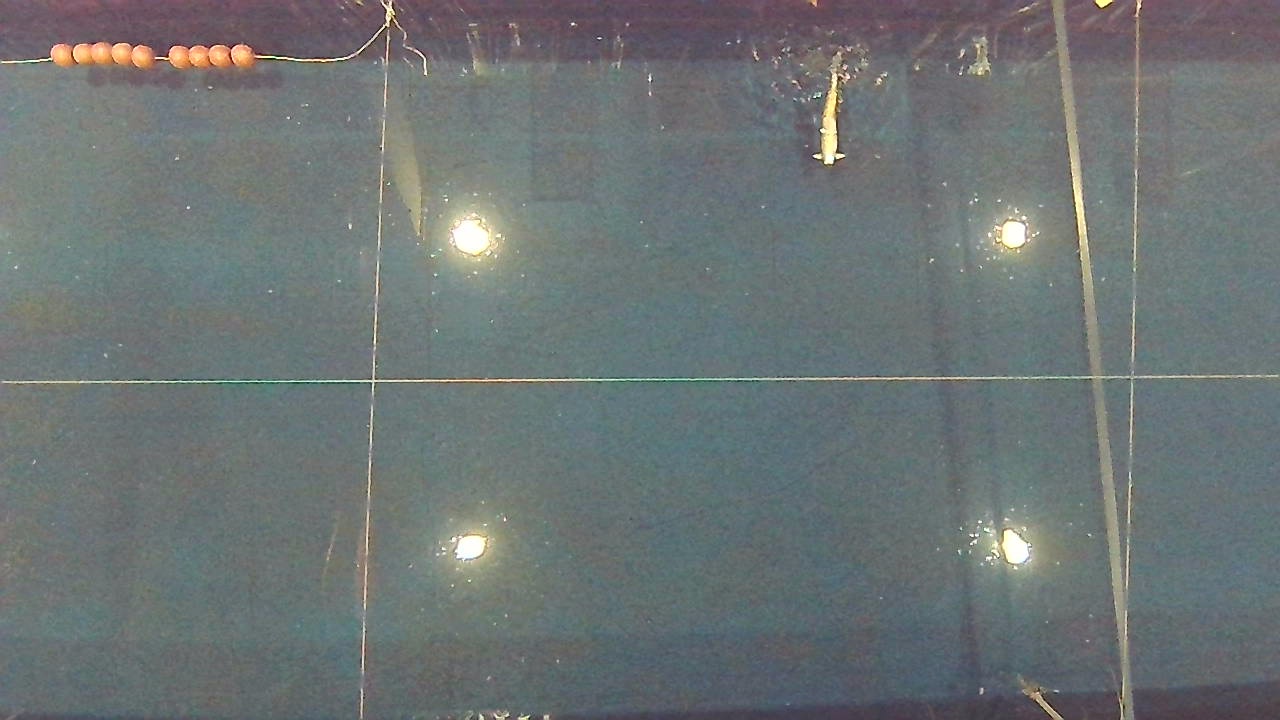 robot fish Instance Segmentation Dataset by object estimation