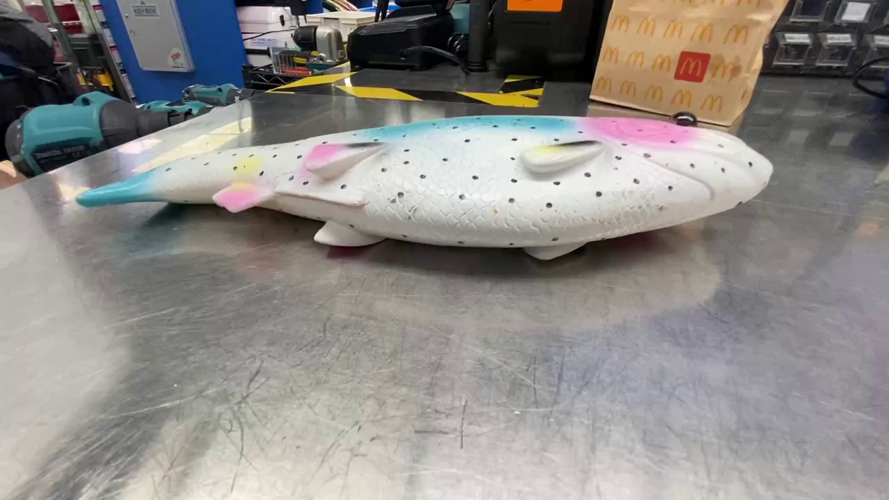 Fablab Fish Object Detection Dataset and Pre-Trained Model by nathan