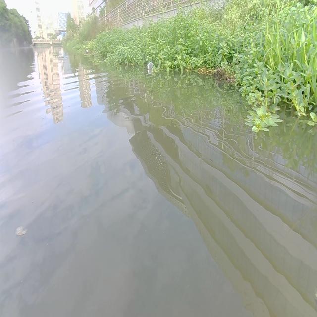 Flow-Img Object Detection Model (v1, 2025-06-10 7:50pm) by object detection