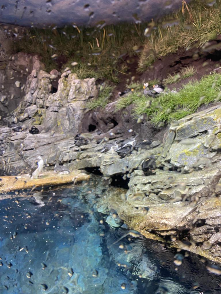 project2 Object Detection Dataset by Melanie