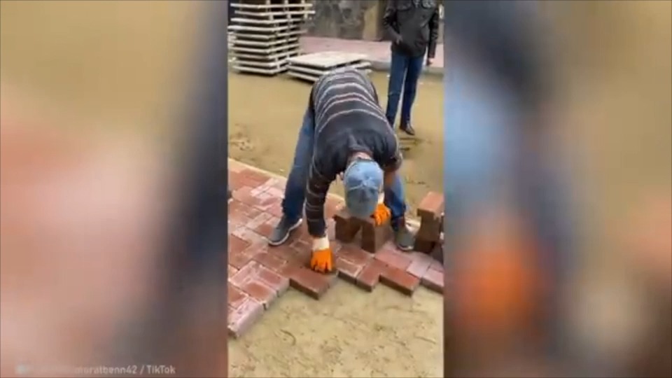 fish tank Object Detection Model by vietnam national university