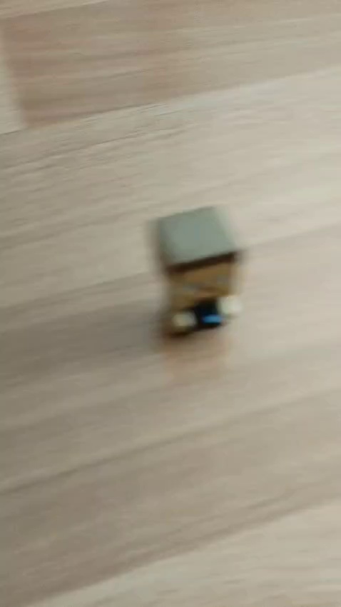 steve Object Detection Dataset by yolo