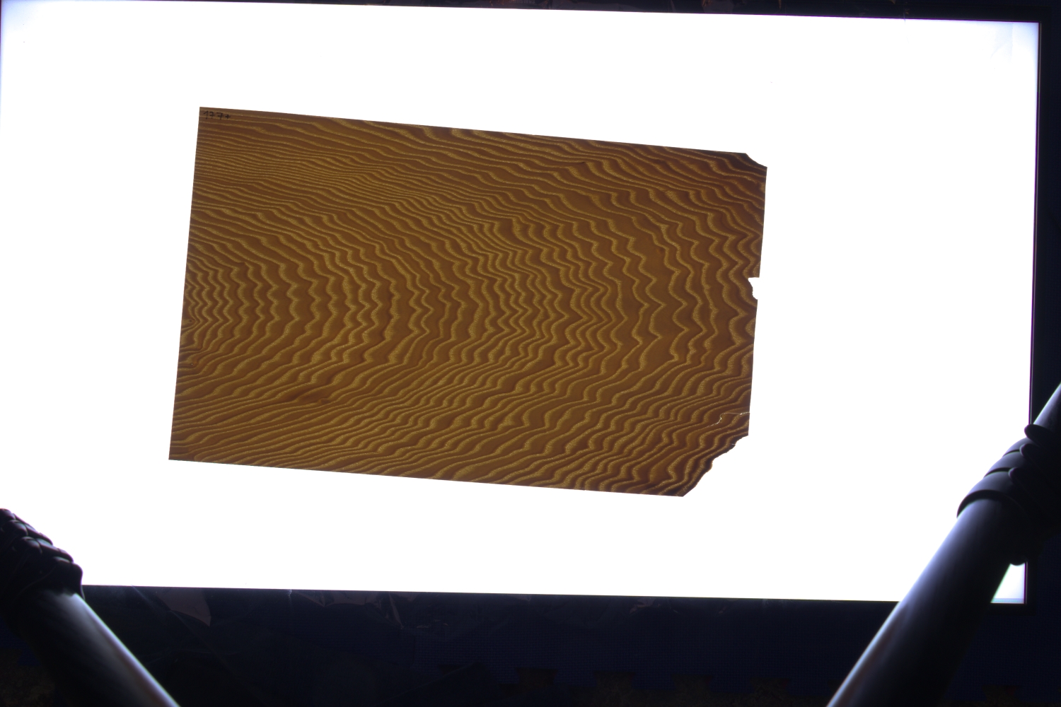 Veneer-annotation Instance Segmentation Dataset by VeneerData