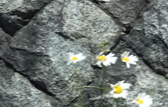 Top Biro Datasets and Models | Roboflow Universe