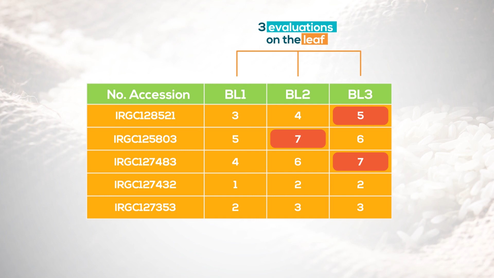 Plant Disease Detection Object Detection Dataset And Pre Trained Model By Create A Data Set