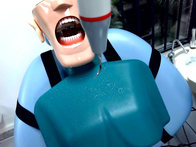 Teeth Segmentation Instance Segmentation Dataset By Shenzhen University Of Advanced Technology