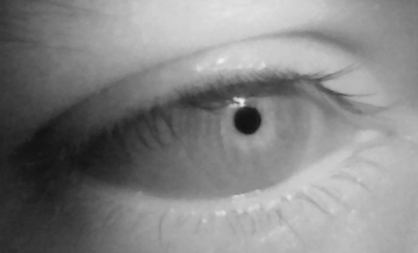 pupil_detection Object Detection Model by ZAHID HASAN ANSARI