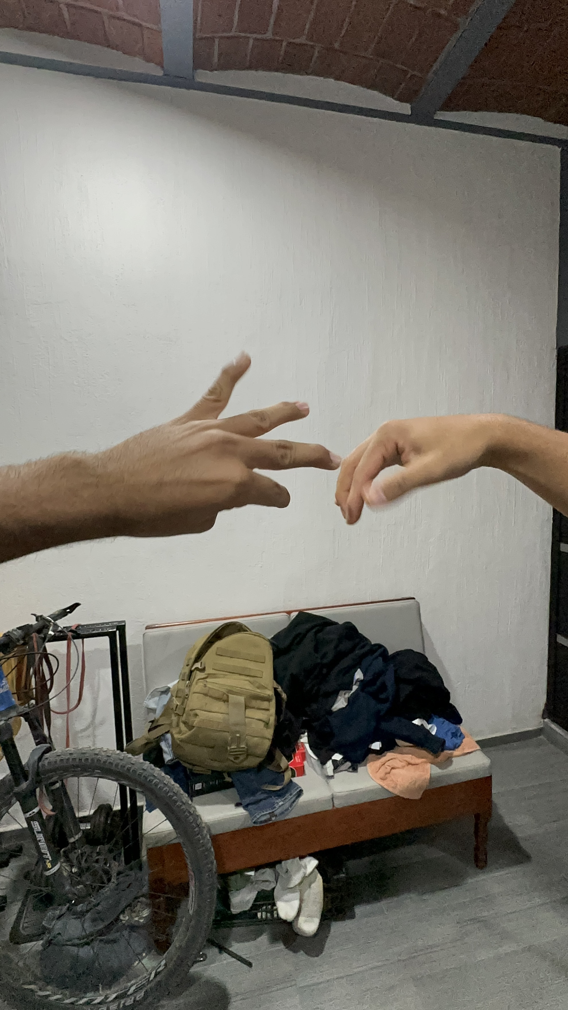 IA_Proyecto Object Detection Model by Proyectoprueba