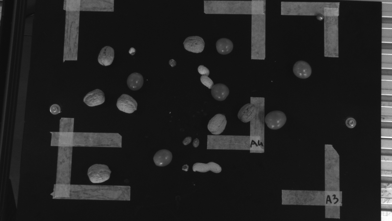 nut hazelnut peanut and tomato Object Detection Dataset and Pre-Trained Model by Saffron flower ...