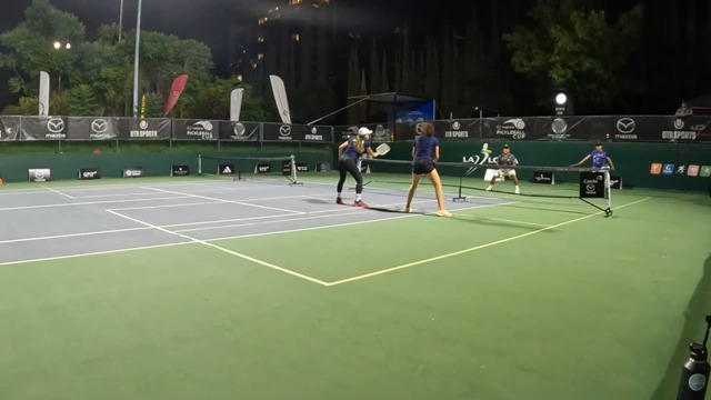Pickleball Vision Object Detection Dataset By Ttest